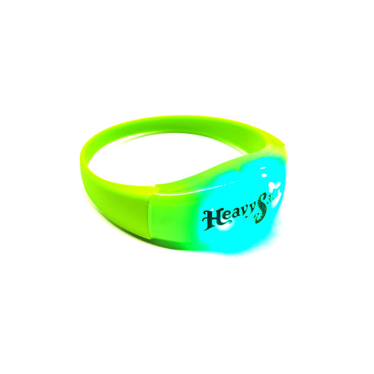 HeavySaurus Merch & Accessoires – Heavysaurus Shop